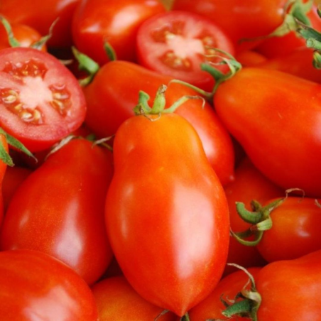 Tomate Romano: O Pilar dos Molhos e das Saladas